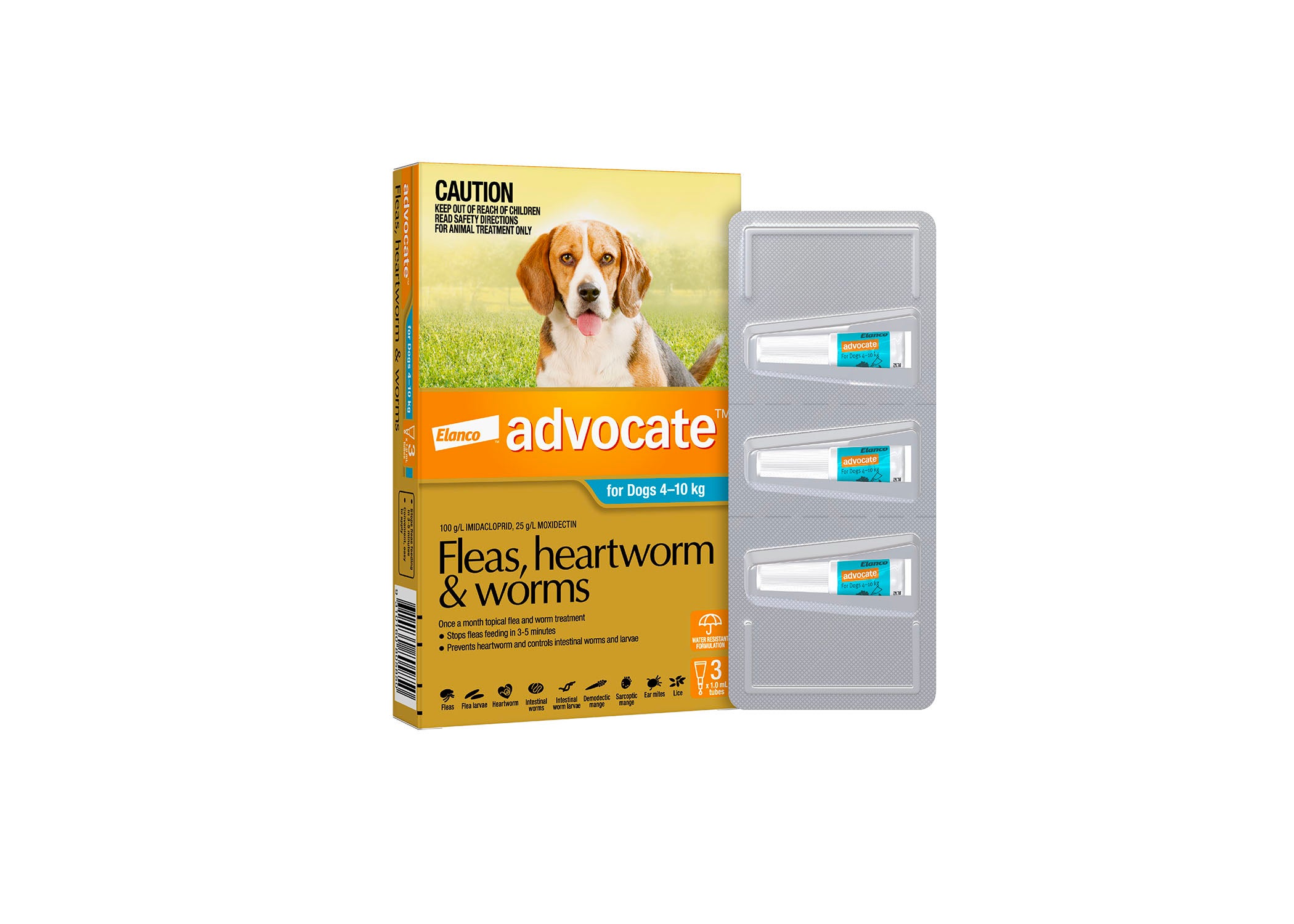 Advocate For Dogs